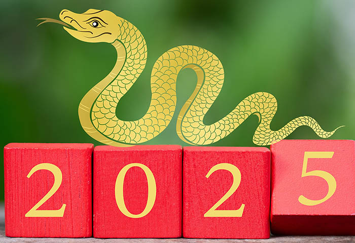 2025, Año de la Serpiente, según el horóscopo chino